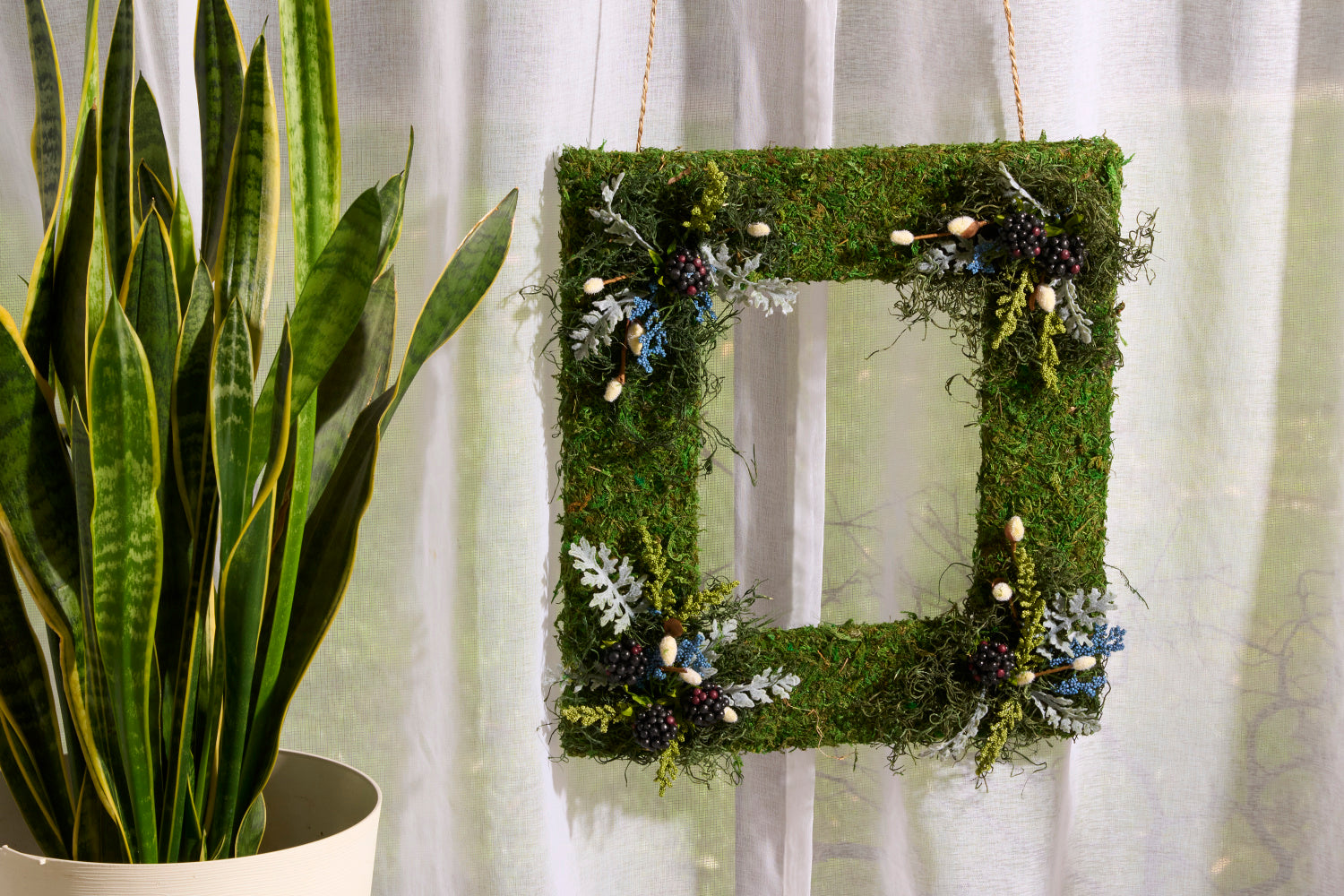 Preserved Moss Wall Art Frame with Tacky Glue and Adhesive Spray – Aleene's